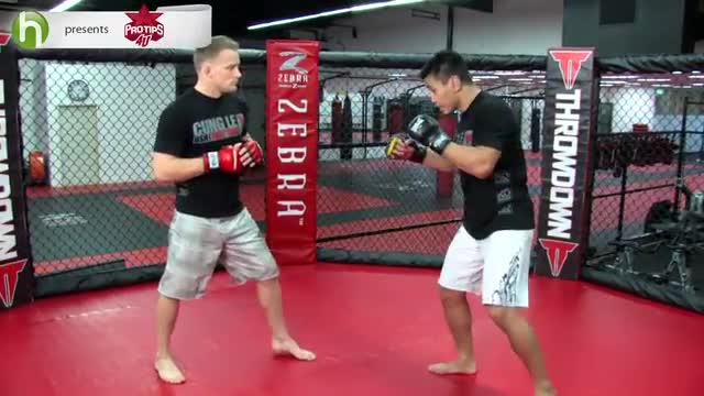 MMA Tips: How to Block a High Kick With Cung Le - Martial Arts Business ...